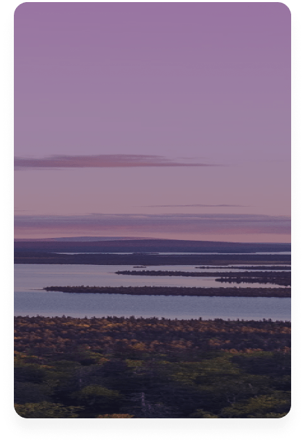 References - Nomentia